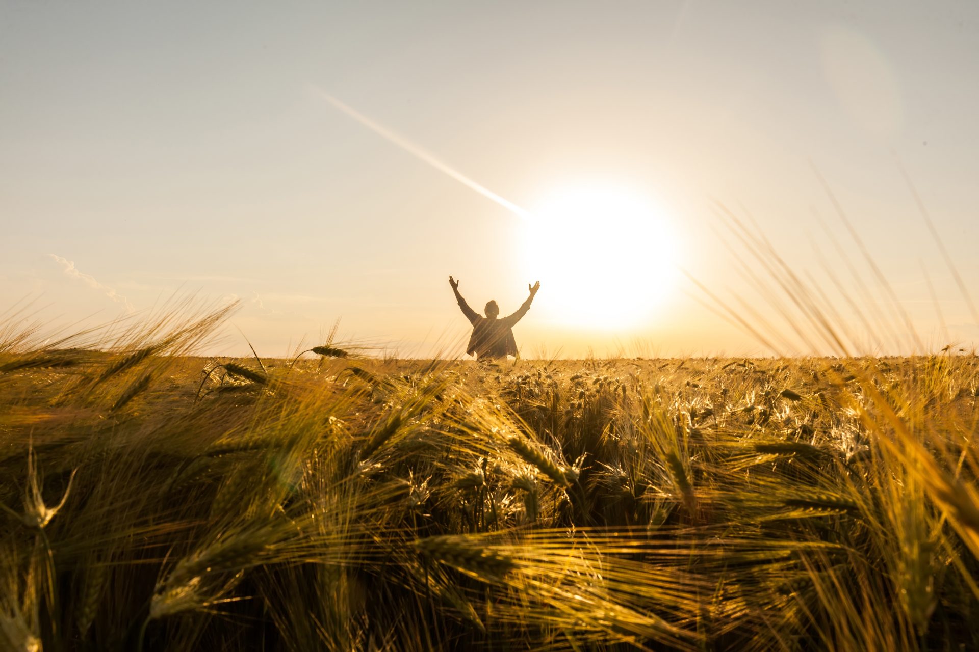 The Power of Visualization: How Imagining Success Gives You Confidence ...